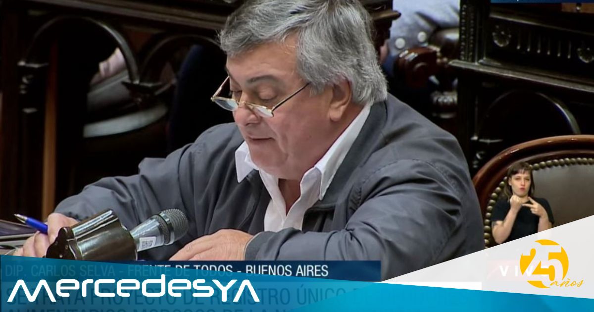 Carlos Selva se expresó sobre el tratamiento del Registro Único de ...